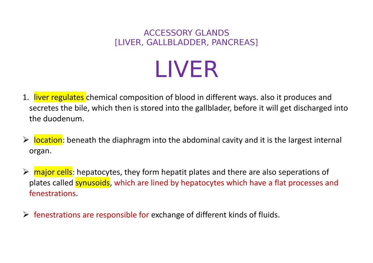 Physio liver - ACCESSORY GLANDS [LIVER, GALLBLADDER, PANCREAS] LIVER ...