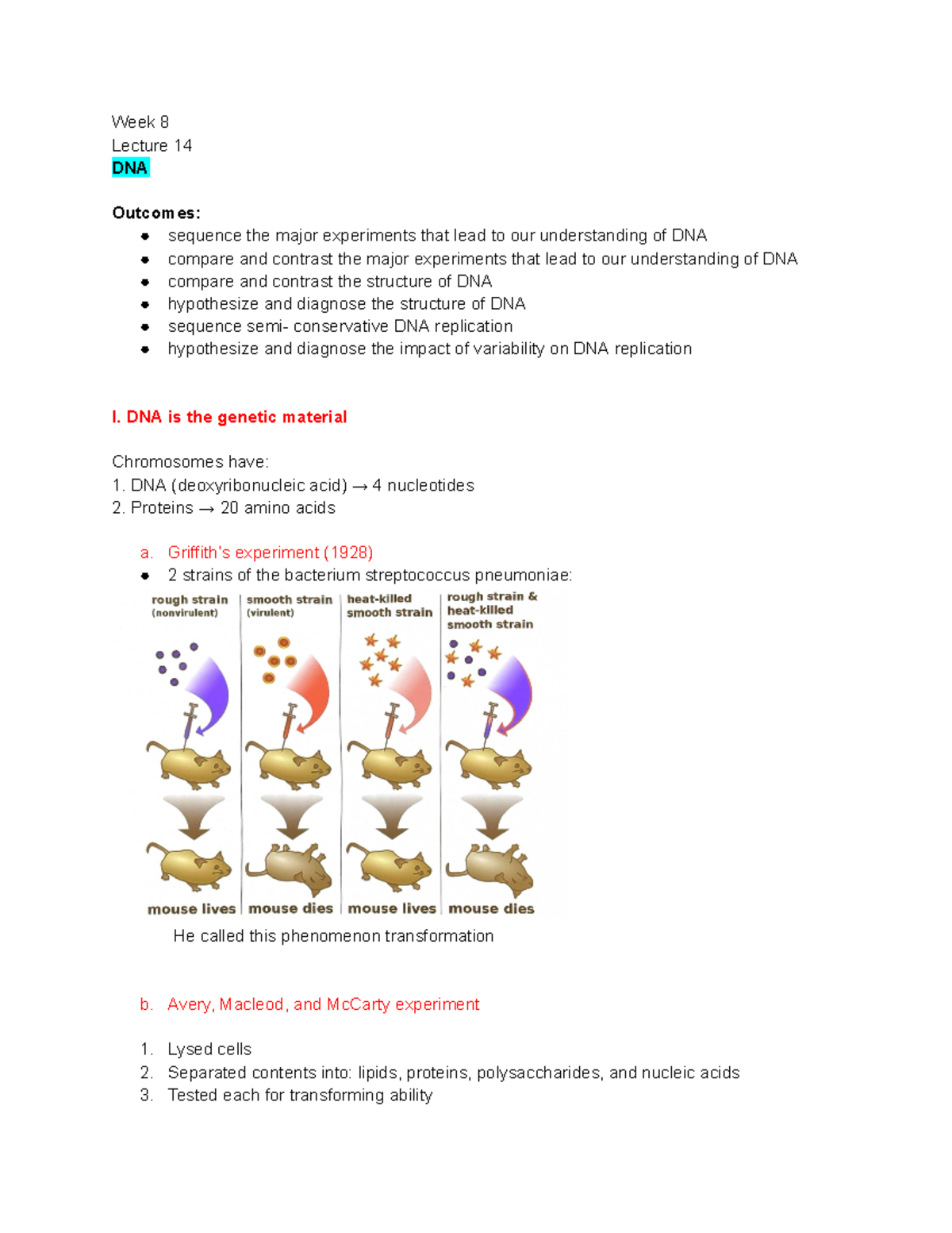 Bio notes DNA replication - Week 8 Lecture 14 DNA Outcomes: sequence ...