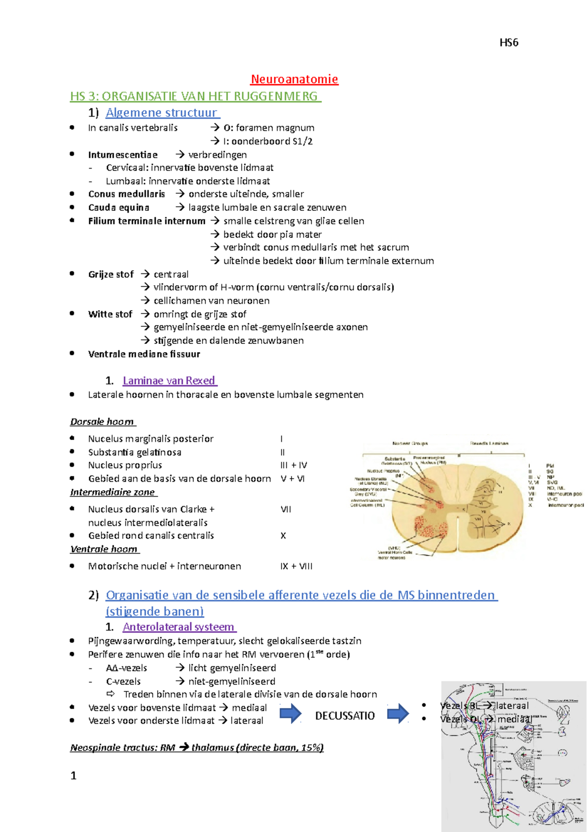 HS3 neuroanatomie (HS6) - Neuroanatomie HS 3: ORGANISATIE VAN HET RUGGENMERG 1) Algemene ...