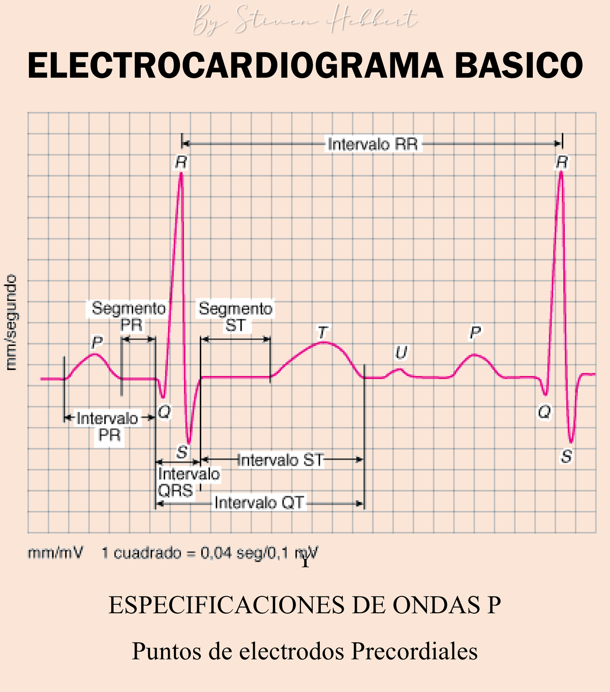 Fisiollgía Cardiaca: Electrocardiograma Básico y Sencillo, ECG ...