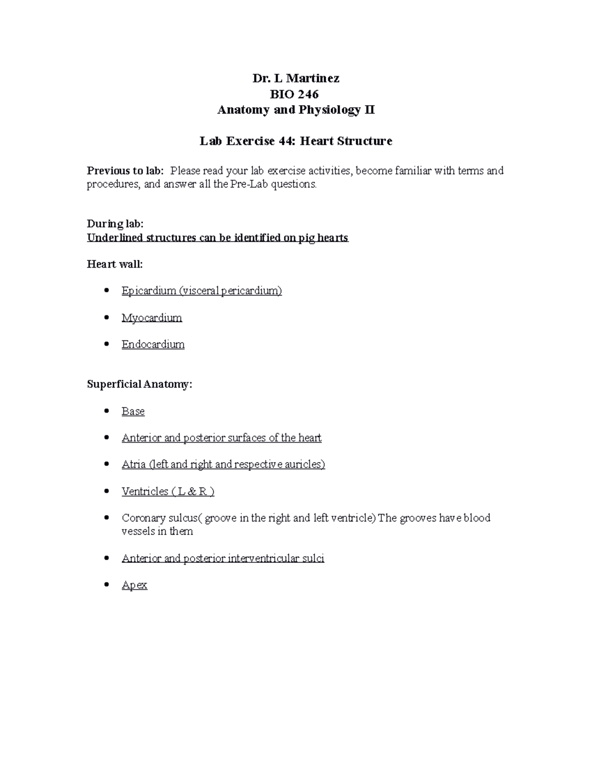 Lab excersise 44-Heart Anatomy - Dr. L Martinez BIO 246 Anatomy and ...