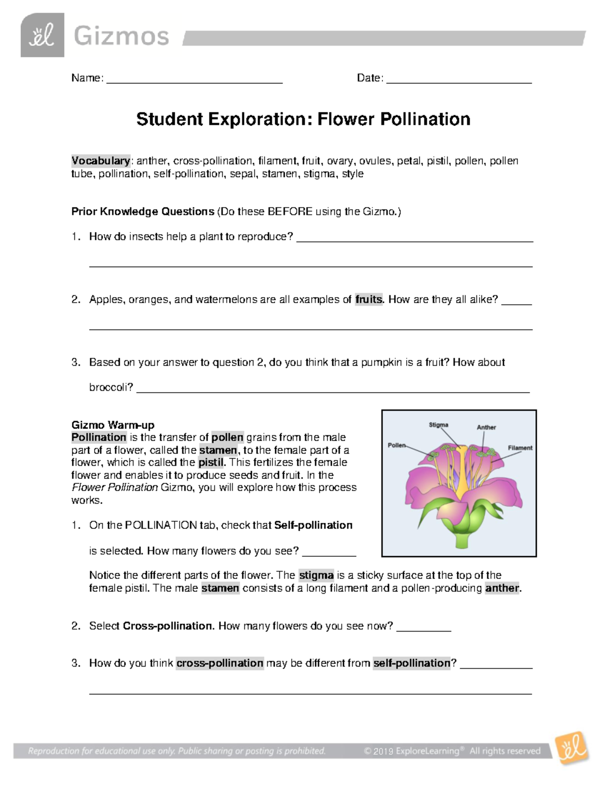 Flower Pollination SE - sdwqefd - 2019 Name ...