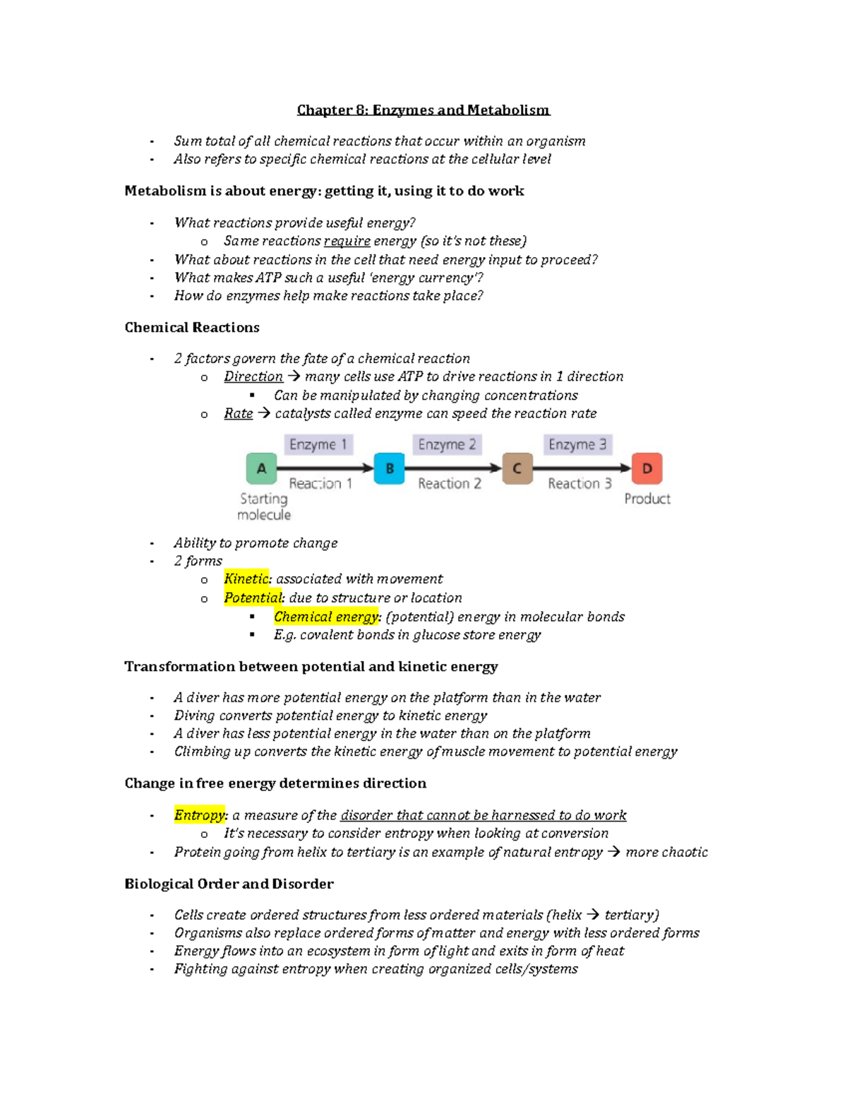 Lecture notes, lecture 7 - Enzymes and Metabolism - Chapter 8: Enzymes ...