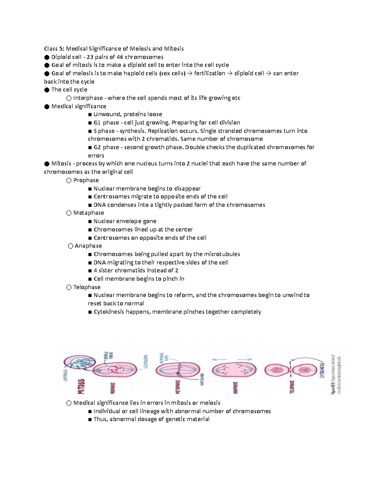 Genetics - idk - Class 5: Medical Significance of Meiosis and Mitosis ...