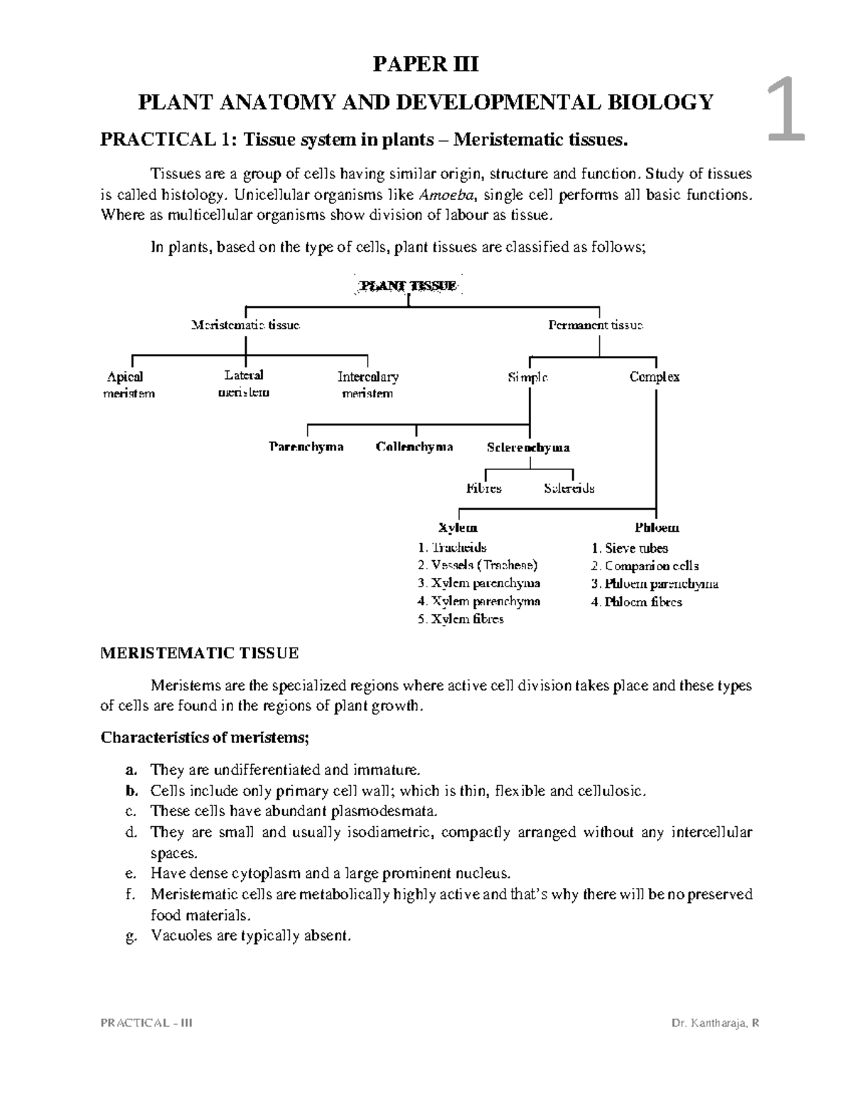 Tissue System - 1 Tissues are a group of cells having similar origin, structure and function ...