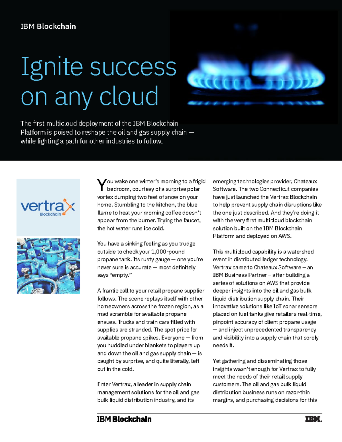 IBM Blockchain Ignite success on any cloud - Ignite success on any cloud Y ou wake one winter’s ...