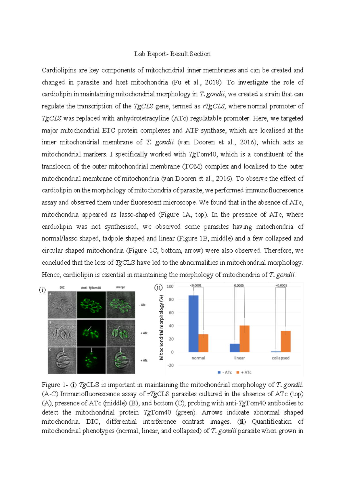 BIOL6117, Result section - Lab Report- Result Section Cardiolipins are ...