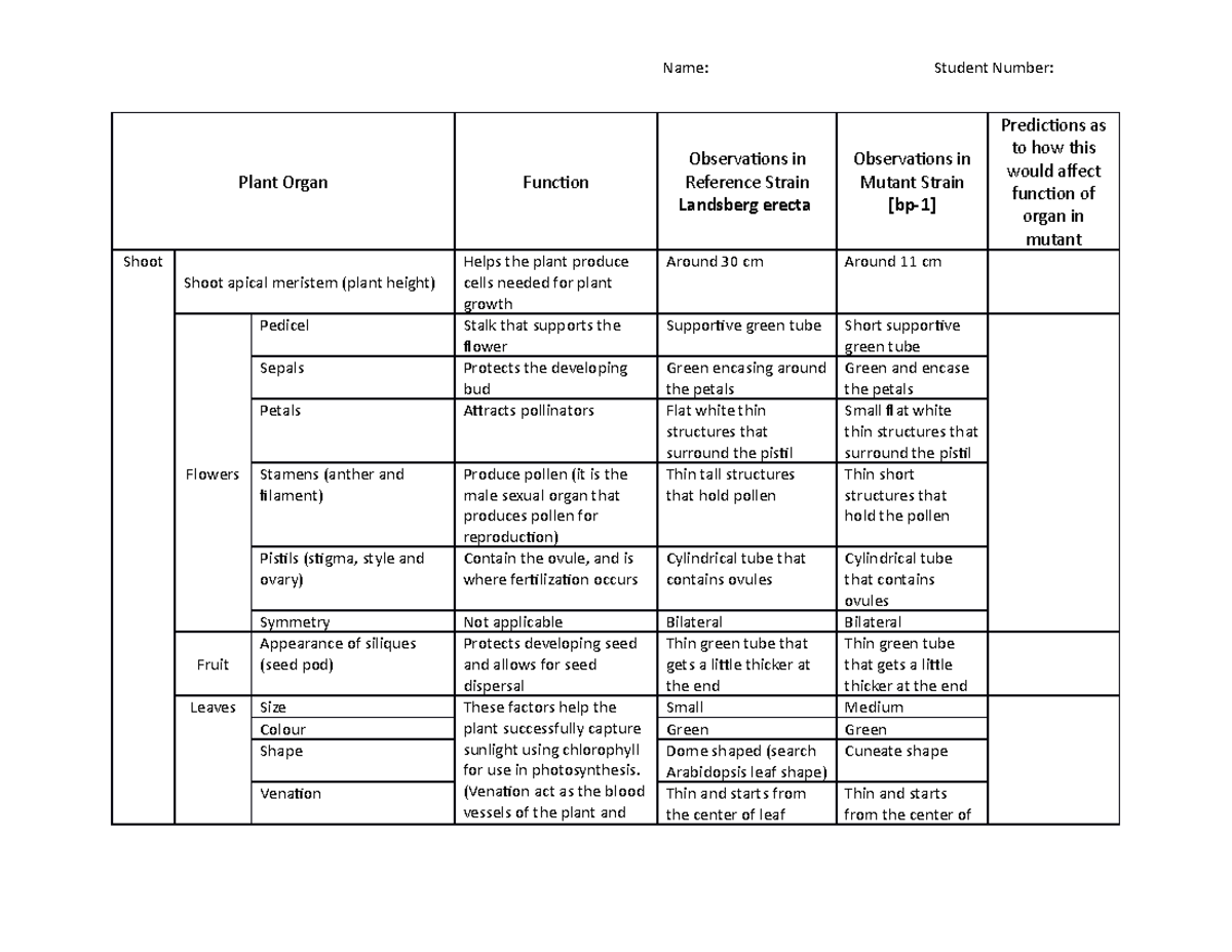 Winter Lab 2 Flower morphology and plant structure worksheet I dont ...