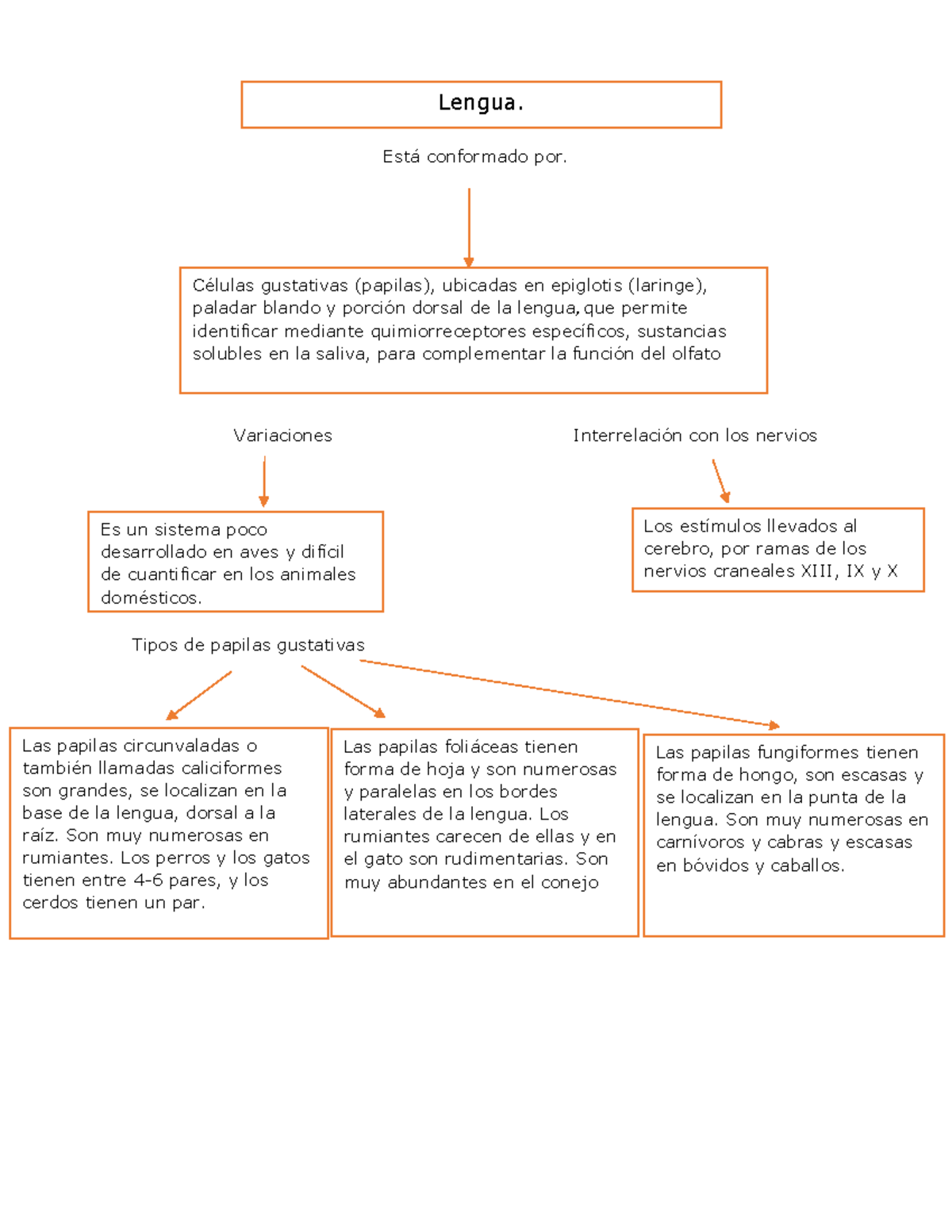 Mapa Conp - APUNTES - Está conformado por. Variaciones Interrelación ...