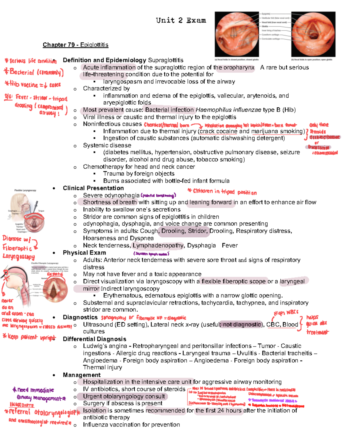 Epiglottis - Exam 2 Answers are in the margins - Unit 2 Exam Chapter 79 ...