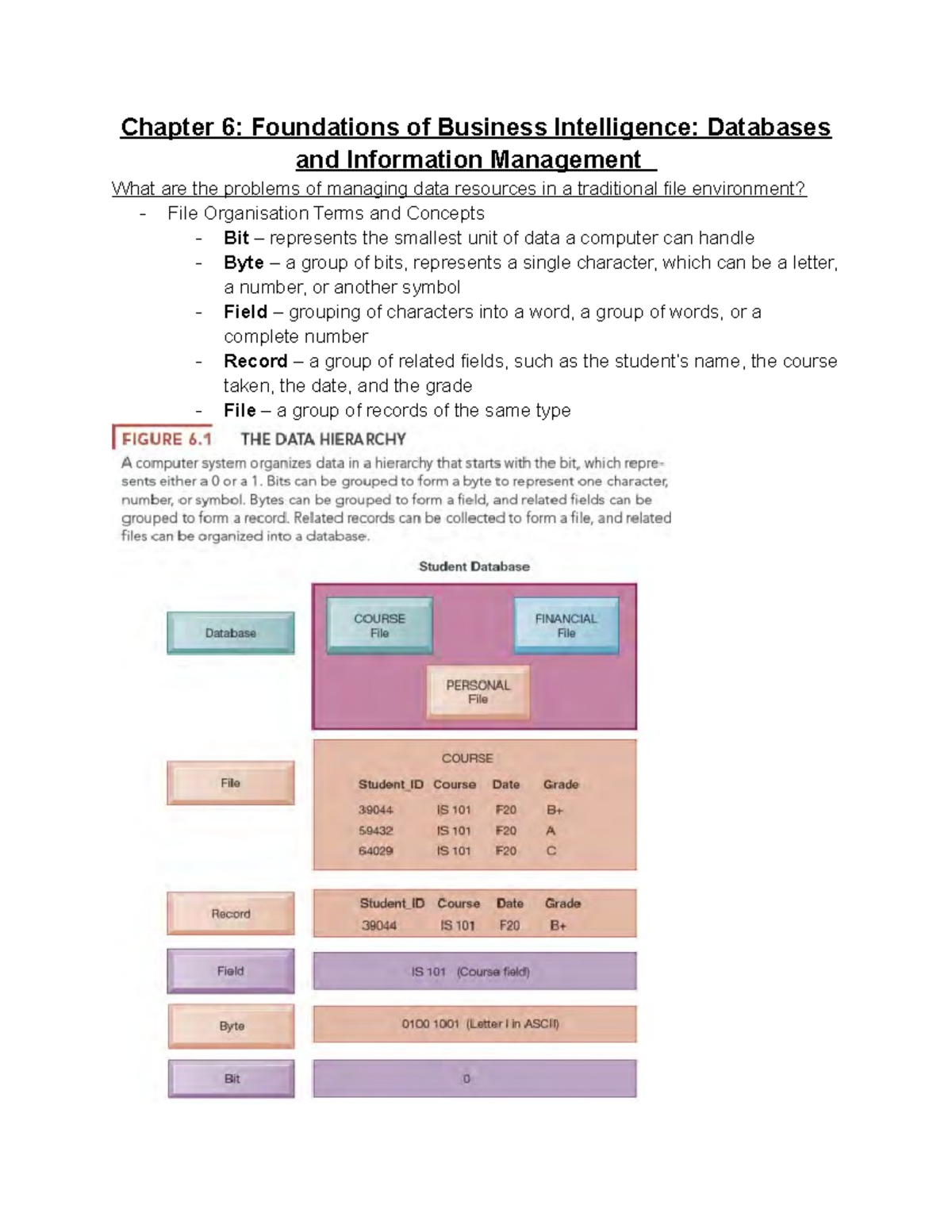 Chapter 6 Foundations of Business Intelligence Databases and ...