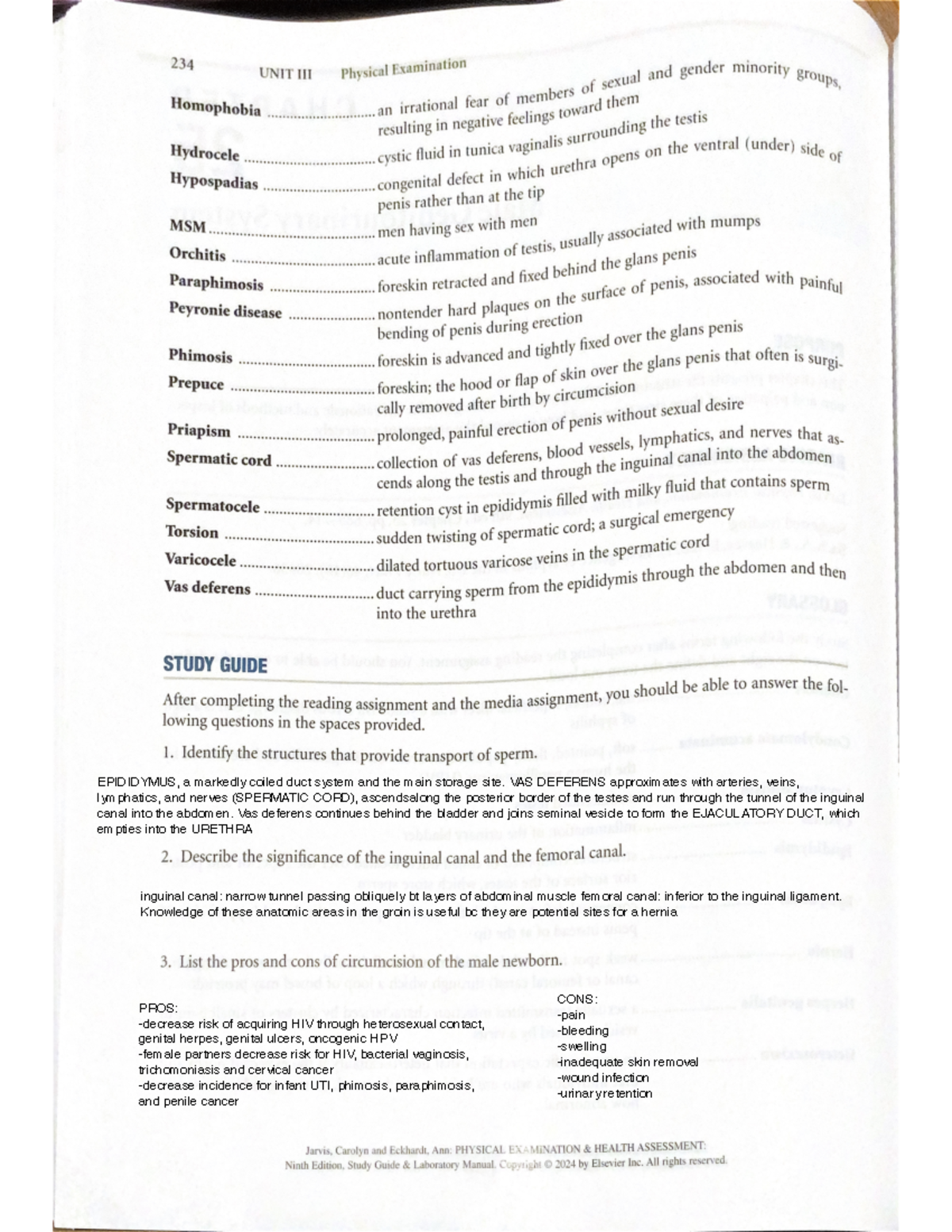 Ch. 25- Male GU SYS copy - for assignments - 234 UNIT III Physical ...