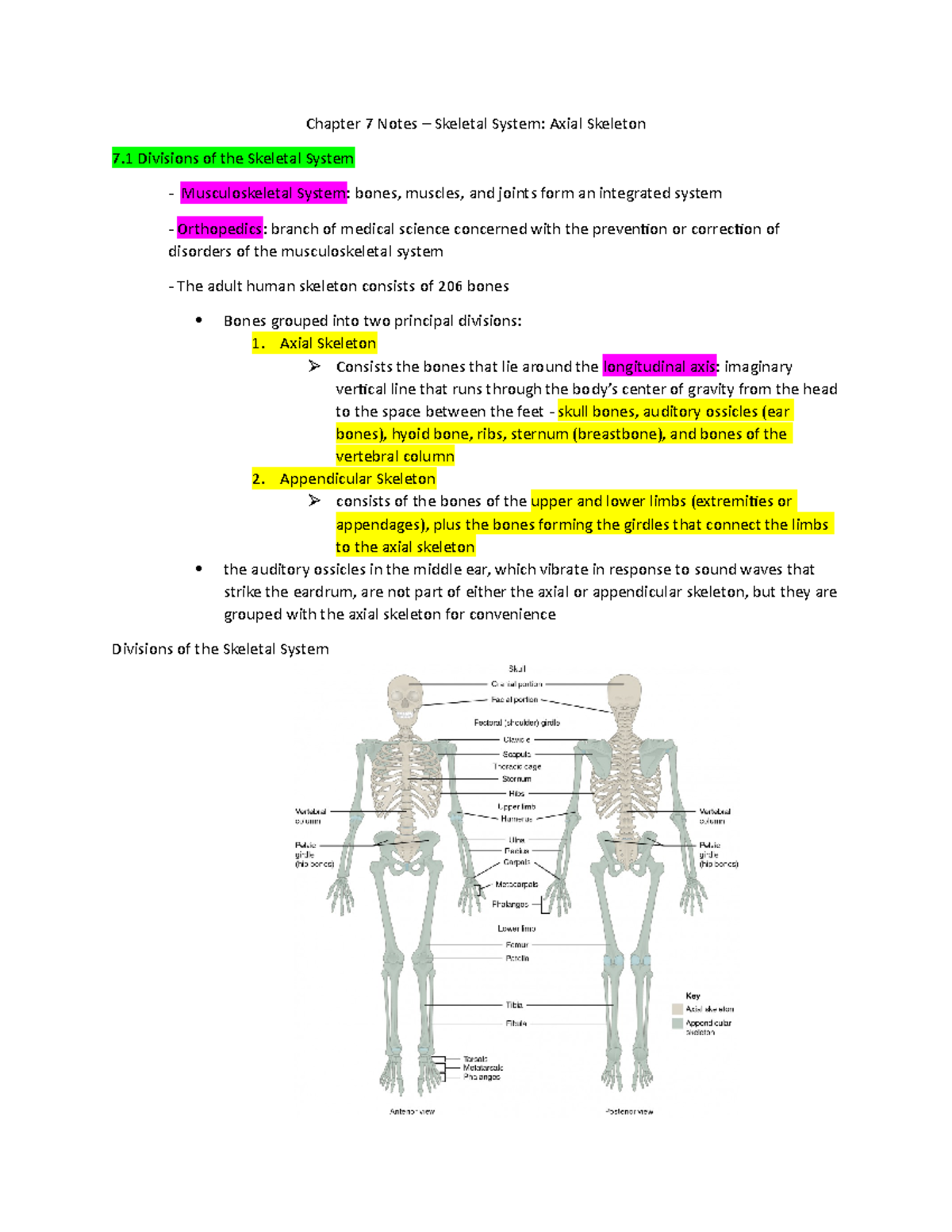 Chapter 7 Notes - BIOL 2301 - San Jac - Studocu