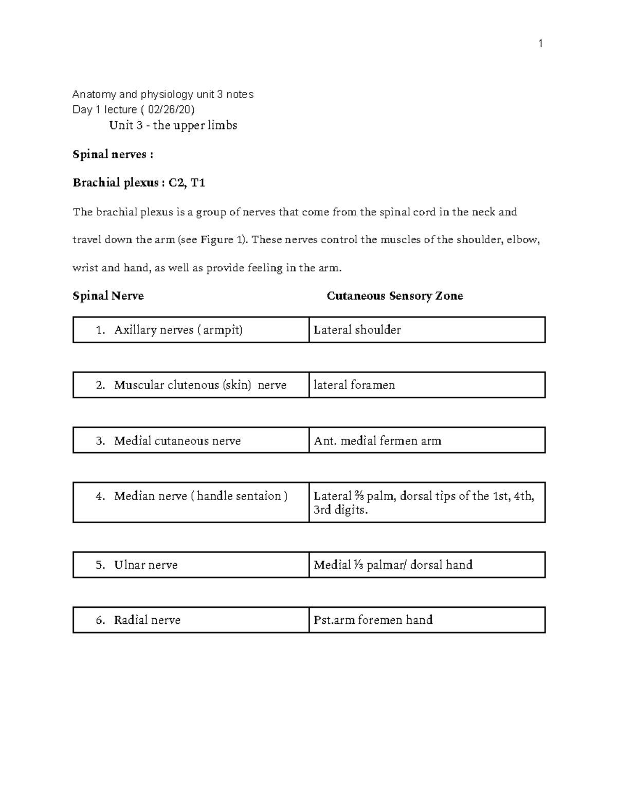A+P Unit 3 Notes - unit 3 lecture - the upper limp - Anatomy and ...