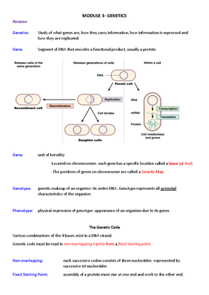 2220MED Week 1-3 Formulas - Warning: TT: undefined function: 32 Warning: TT: undefined function ...