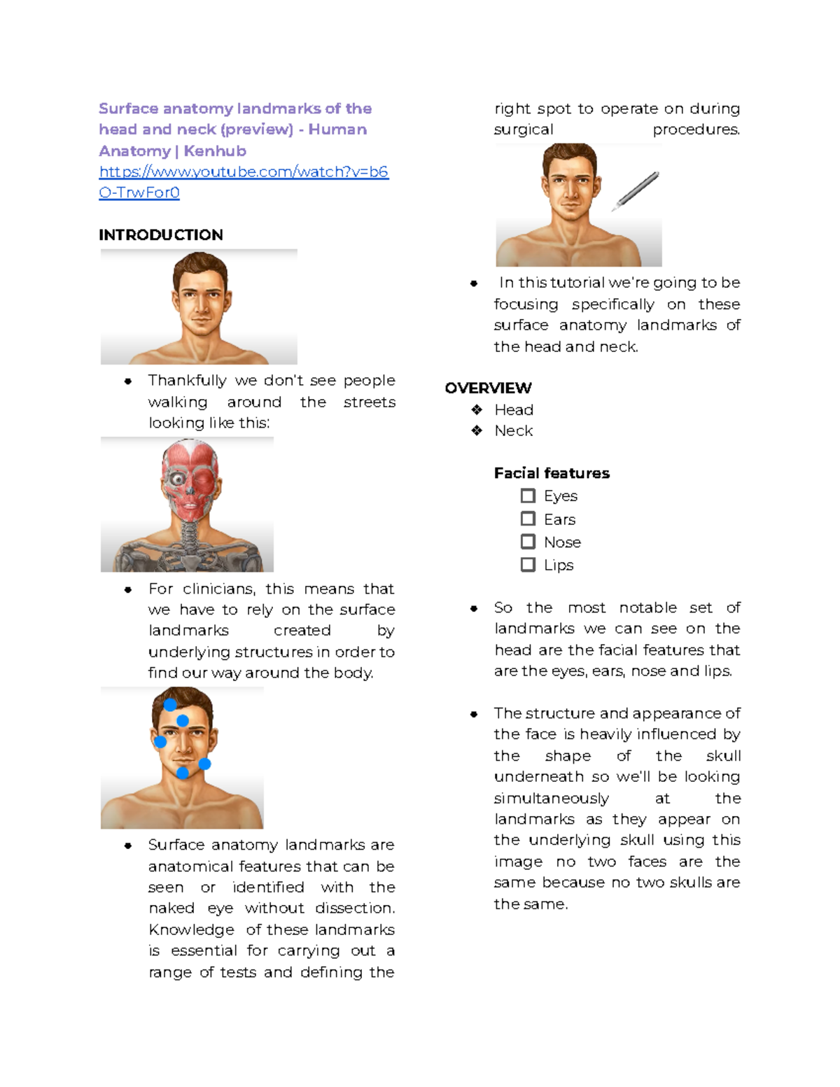 GEN ANA 2 LAB - Finals - DFDGD FD GH HD - Surface anatomy landmarks of ...