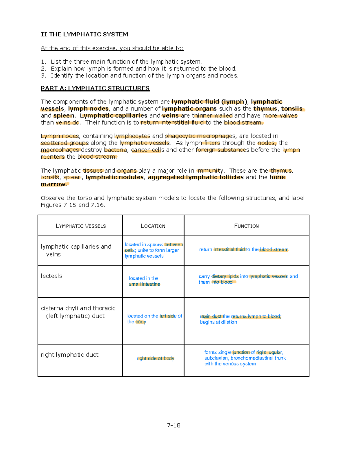 LAB 7 - CVS 8 - Lab 7 - CVS Answer Key - 7- II THE LYMPHATIC SYSTEM At ...