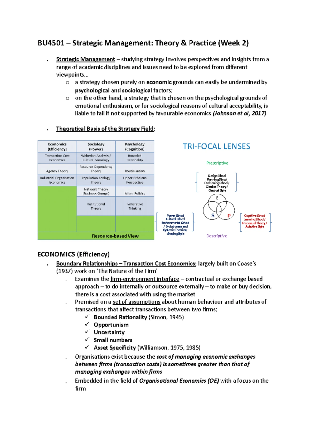 Strategic Management Theory and Practice - 2, what strategy statement would you propose for ...