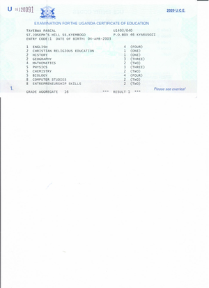 Homework 2 - Linear programming - Homework 2: Analytic Functions ...