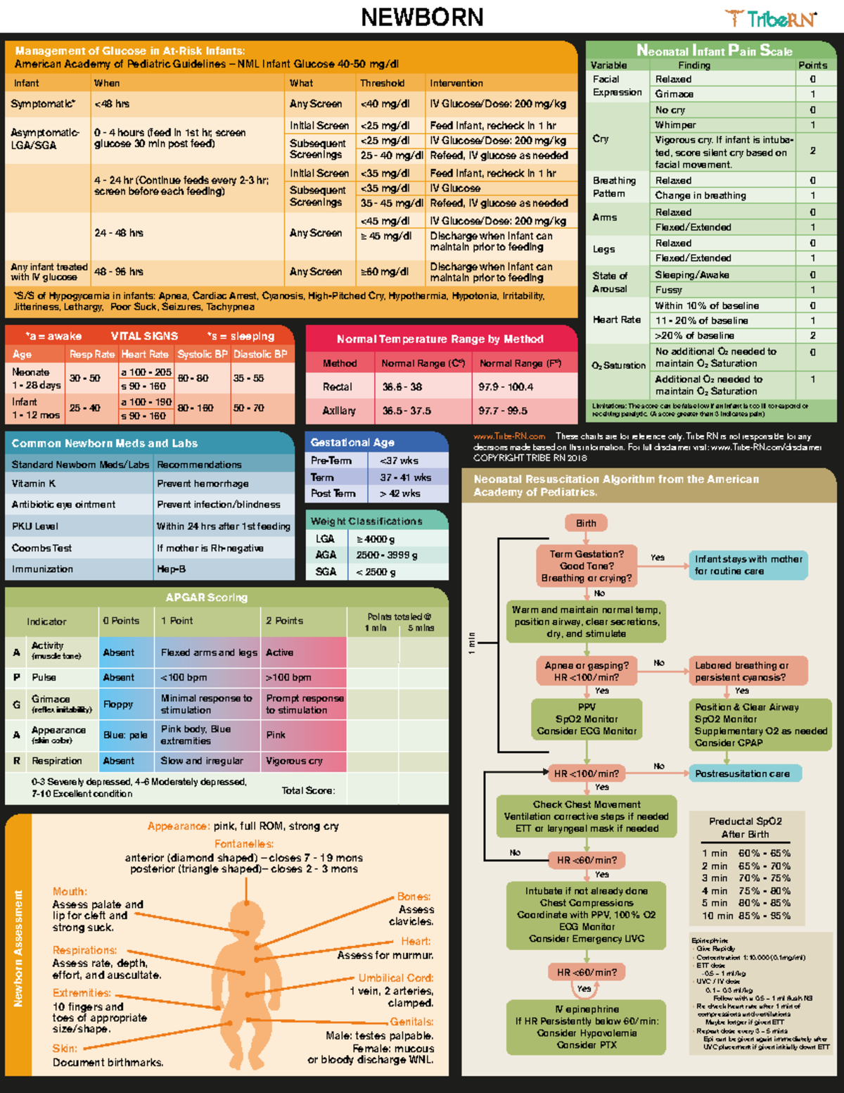 Newborn - Tribe-RN These charts are for reference only. Tribe RN is not ...