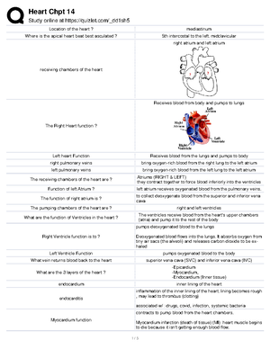 Anatomy and Physiology II Midterm Review - Anatomy and Physiology II ...