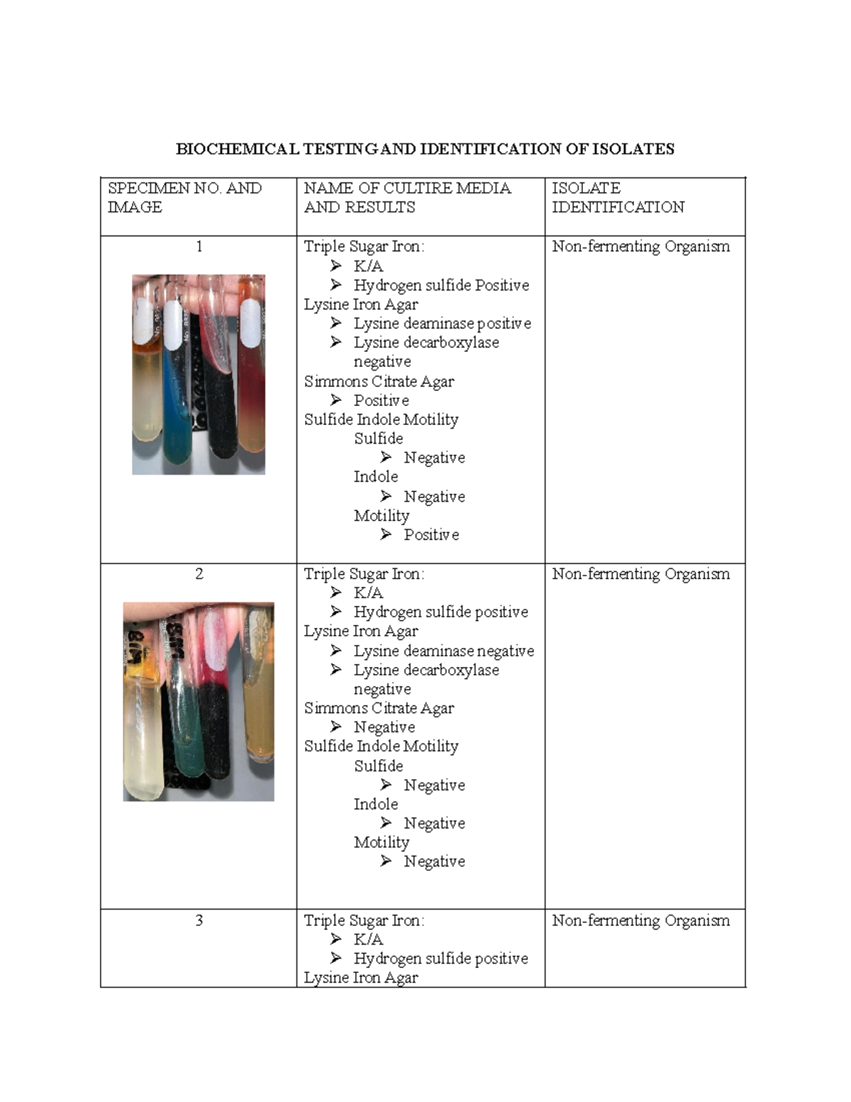 Biochem microbiology - BIOCHEMICAL TESTING AND IDENTIFICATION OF ...