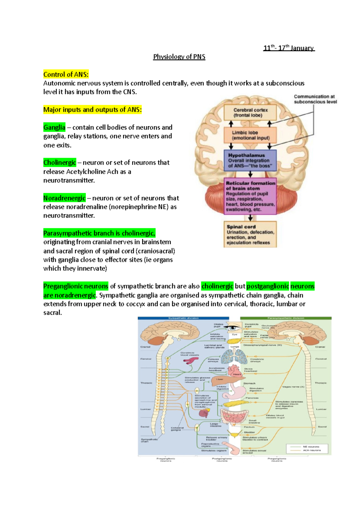Physiology of PNS - 11th-17th January - 11 th - 17 th January ...