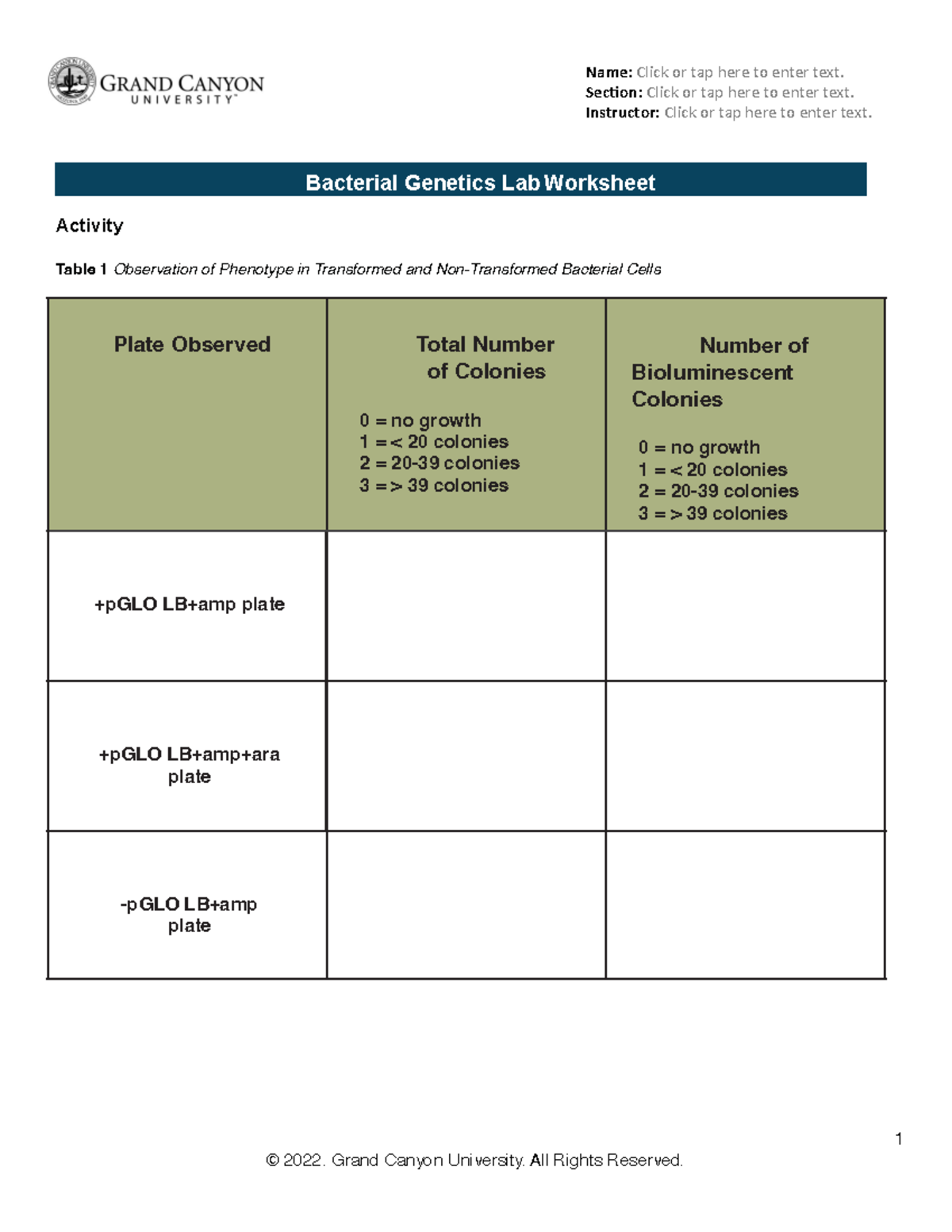 Bacterial genetics lab - Secon: Click or tap here to enter text ...