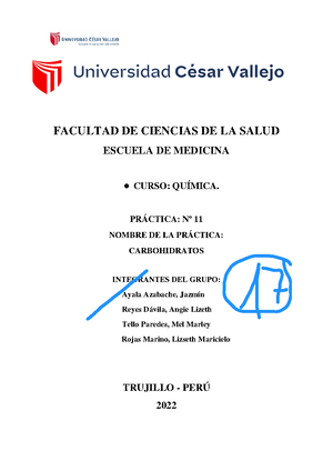 GUIA+DE+PR%C3%81 Ctica+N%C2%BA+09 - FACULTAD DE CIENCIAS DE LA SALUD ...