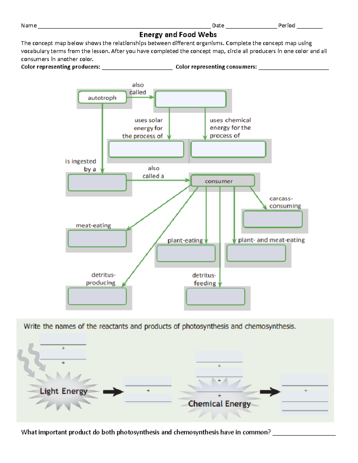 Energy and Food Webs - Name ...