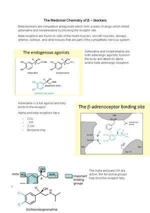 GOOD Manufacturing Practice - GOOD MANUFACTURING PRACTICE The Values of ...