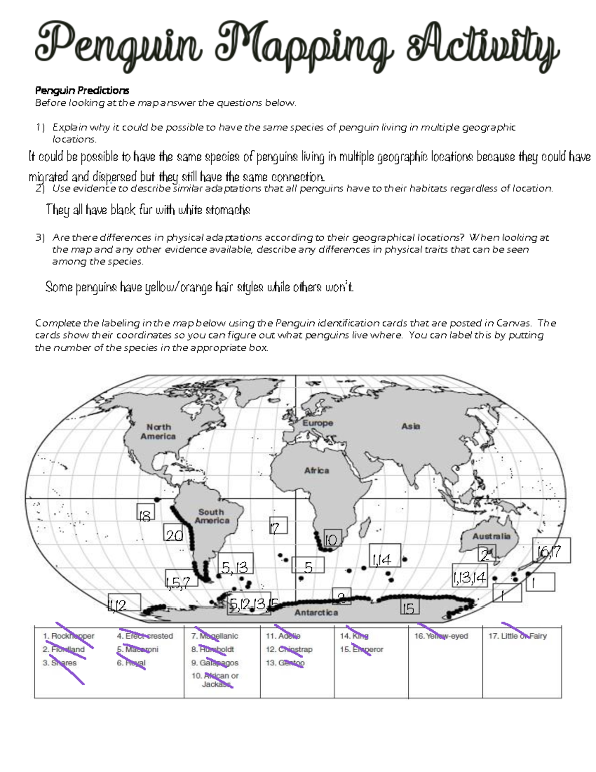 Penguin+Mapping+Activity - Penguin Predictions Before looking at the ...