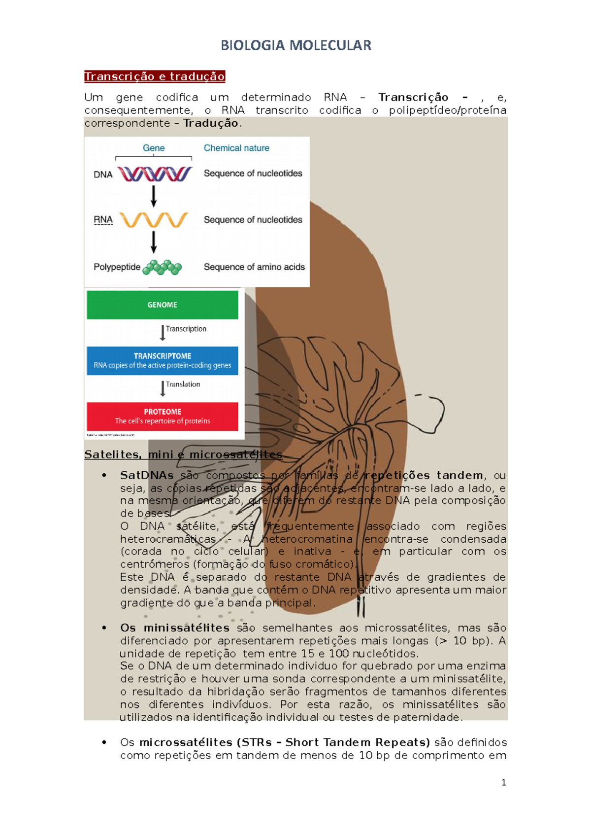 Resumo aula 1 e 2 - Apontamentos aula 1 e 2 - Transcrição e tradução Um ...