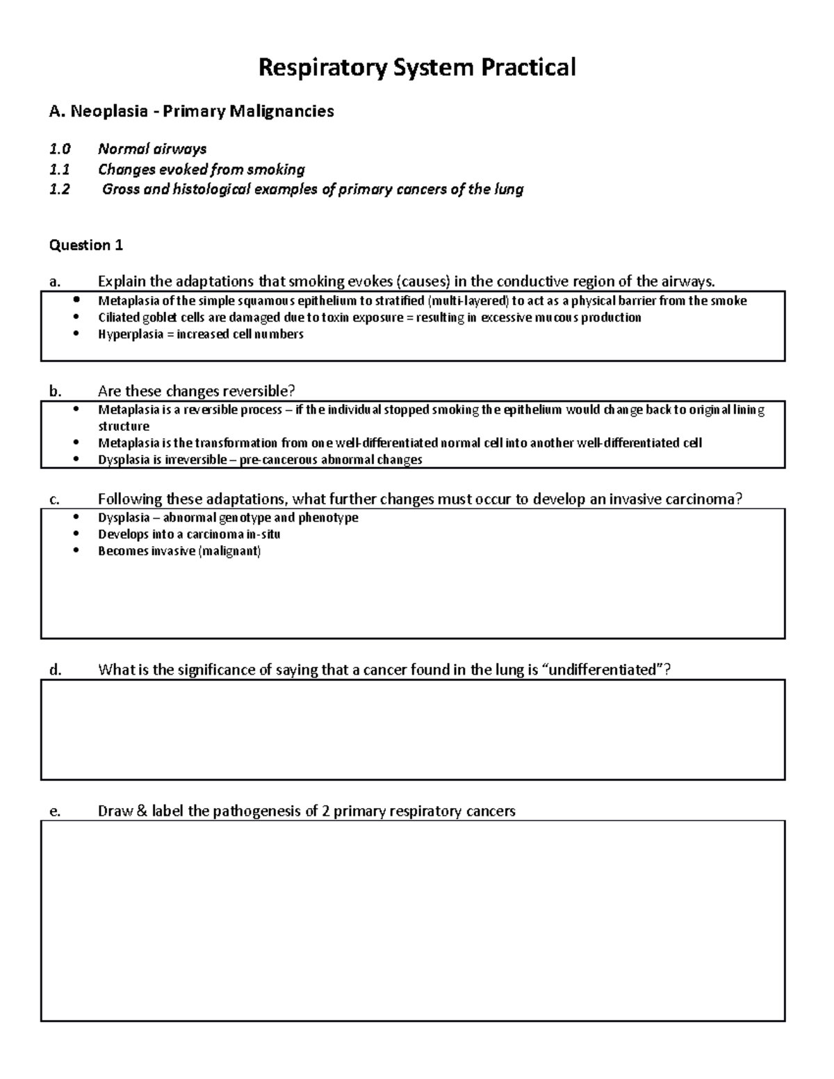 Week 6 - Respiratory - tutorial notes - Respiratory System Practical A ...