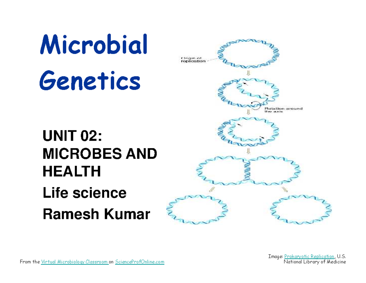 Microbial - best - Microbial Genetics UNIT 02: Image: Prokaryotic ...