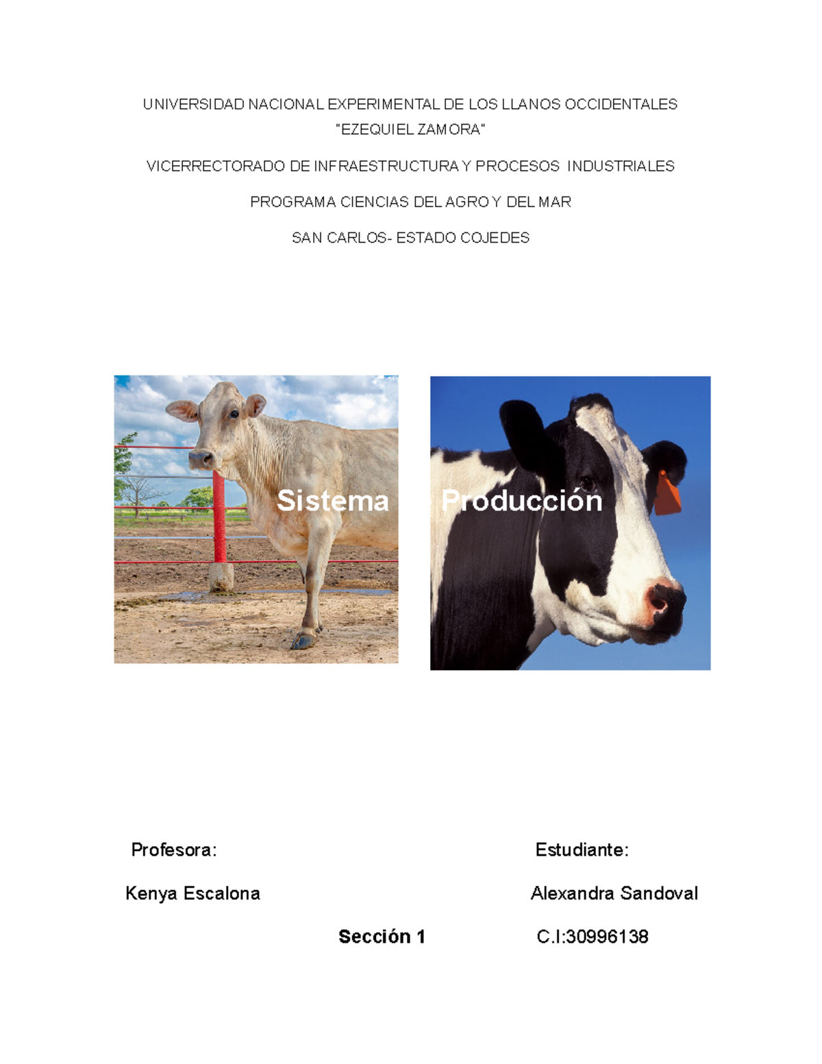 La Raza Carora y de que se trata - UNIVERSIDAD NACIONAL EXPERIMENTAL DE ...