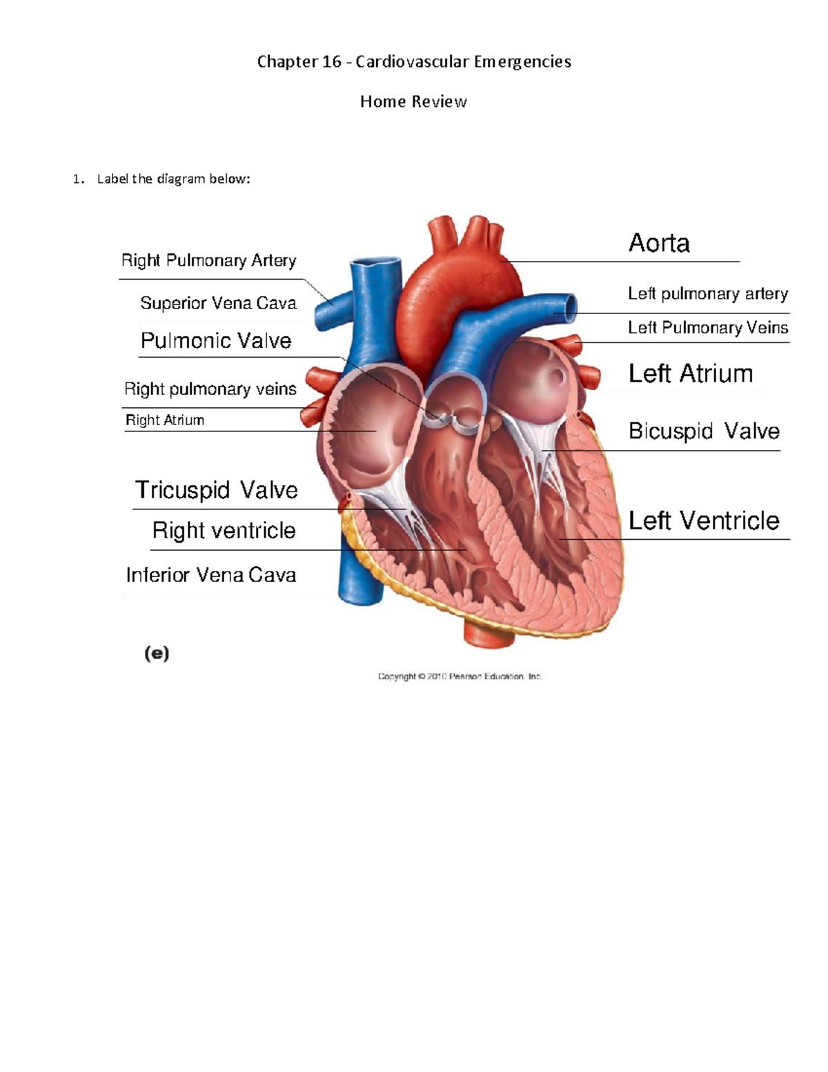 Chapter 16 Cardiovascular Emergencies Worksheet - Chapter 16 ...