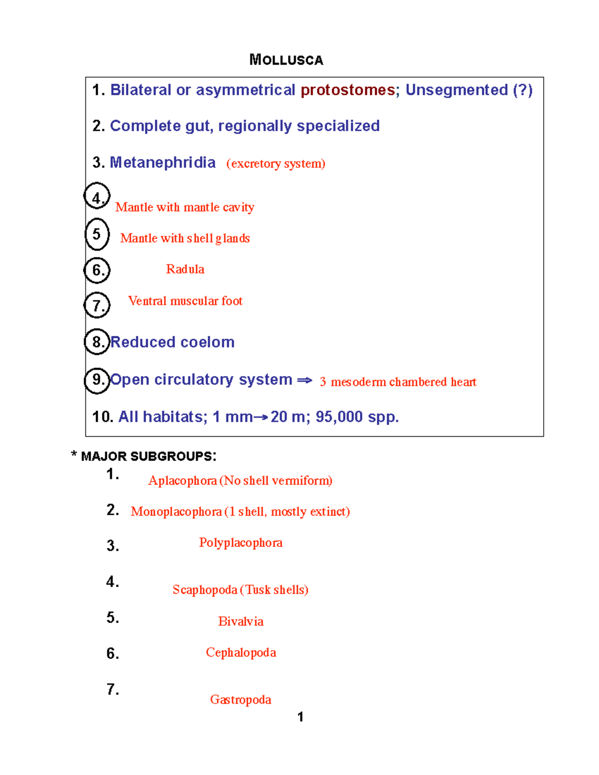 6Mollusca - Mollusca notes - * MAJOR SUBGROUPS: 1. 2. 3. 4. 5. 6. 7. 1 ...