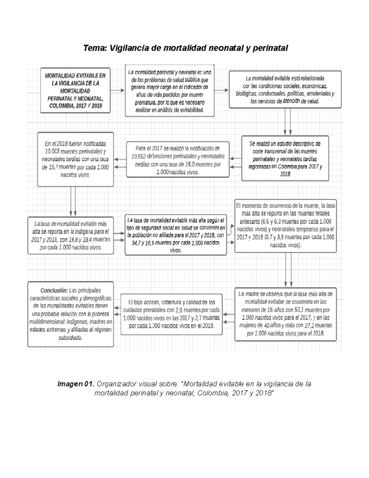 Vigilancia de mortalidad perinatal y neonatal - Tema: Vigilancia de ...