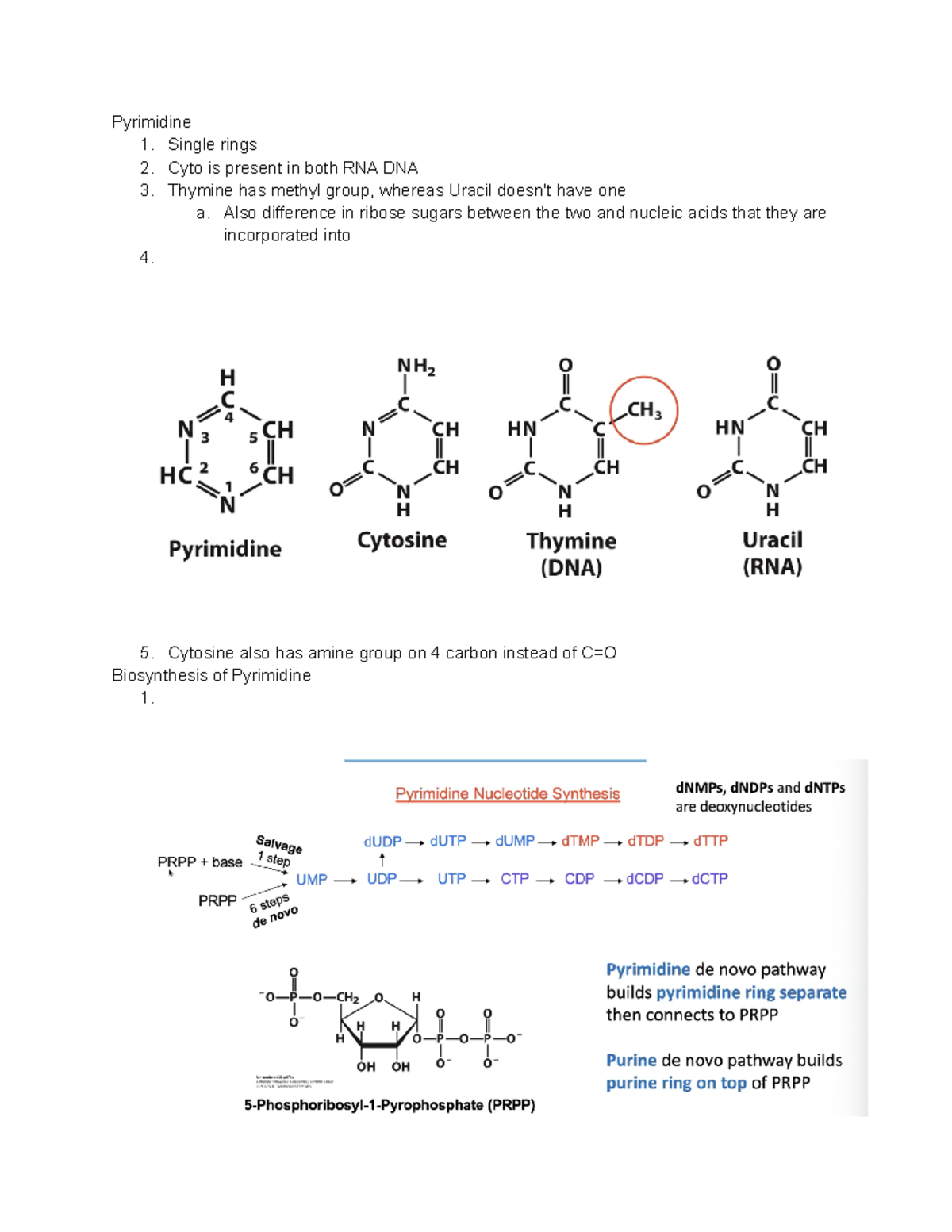 L34 - Pyrimidine - Lecture notes 34 - Pyrimidine 1. Single rings 2 ...