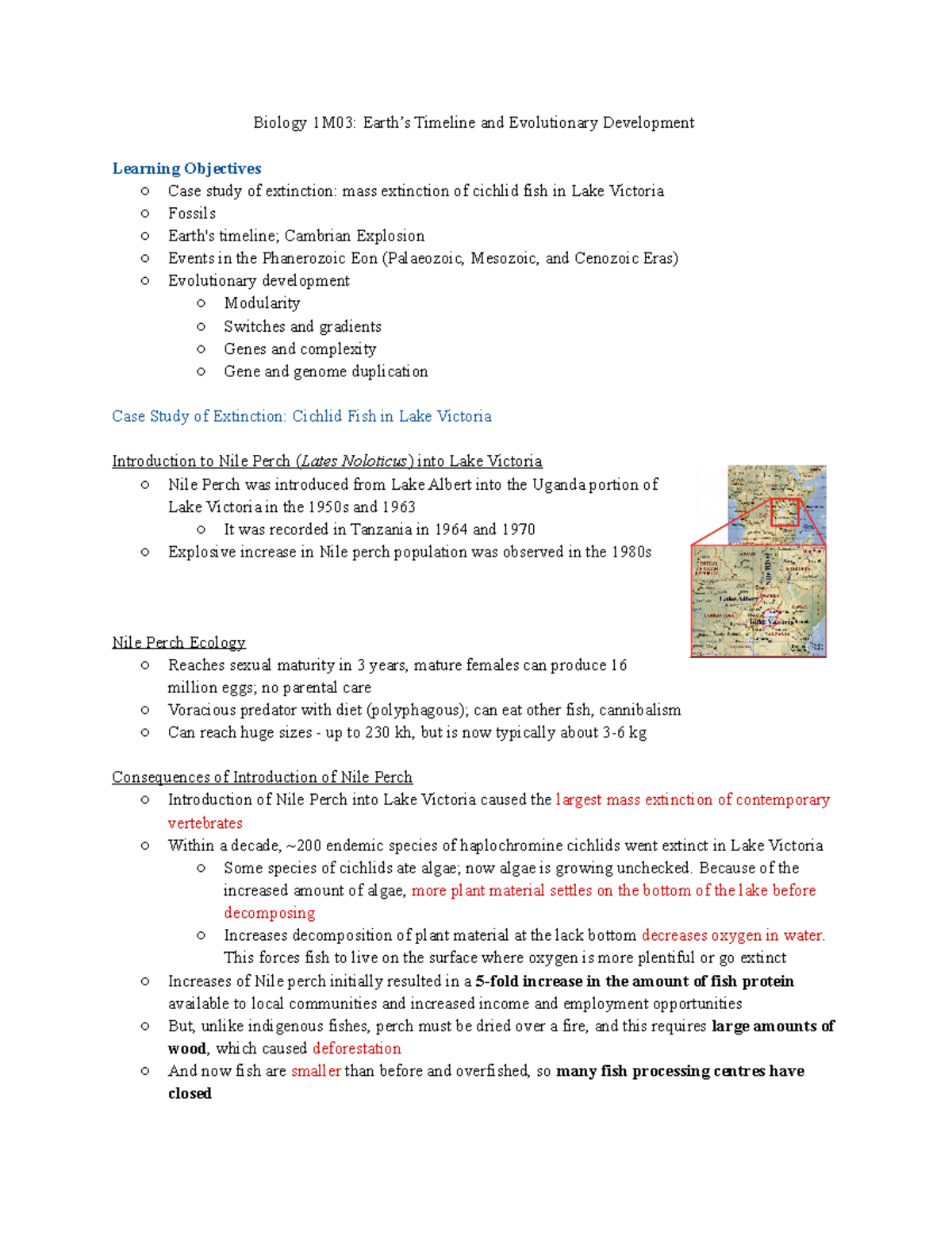 Earth’s Timeline and Evolutionary Development - Biology 1M03: Earth’s ...