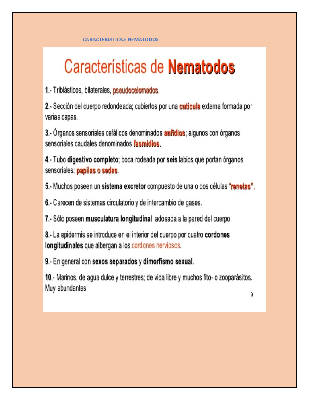 Caracteristicas Nematodos - ciencias naturales - CARACTERISTICAS NEMATODOS - Studocu