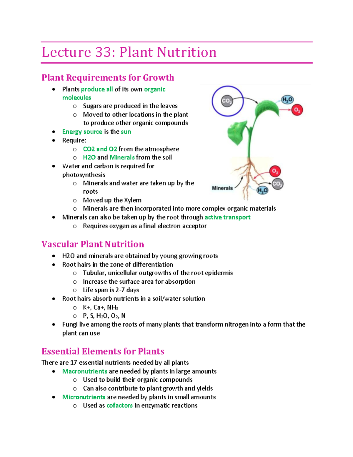 Lecture 33 - Plant Nutrition - Lecture 33: Plant Nutrition Plant ...