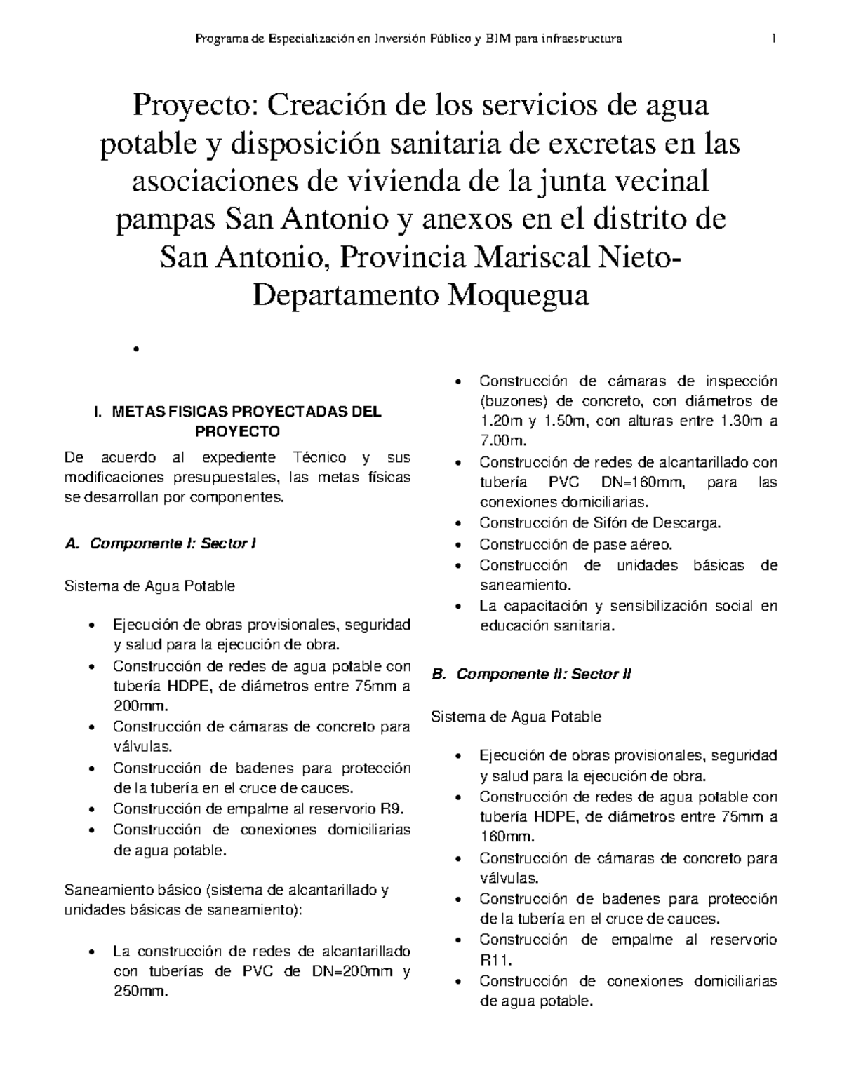 3 Metas y Analisis del proyecto Metodologia BIM - I. METAS FISICAS ...