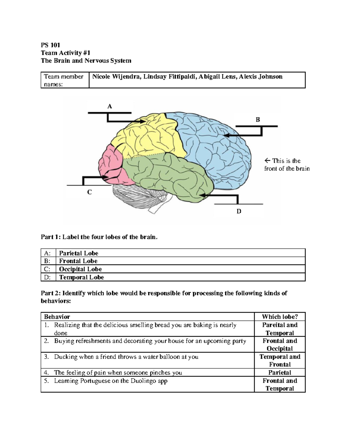 Team Activity Chapter 3 - PS 101 Team Activity # The Brain and Nervous ...