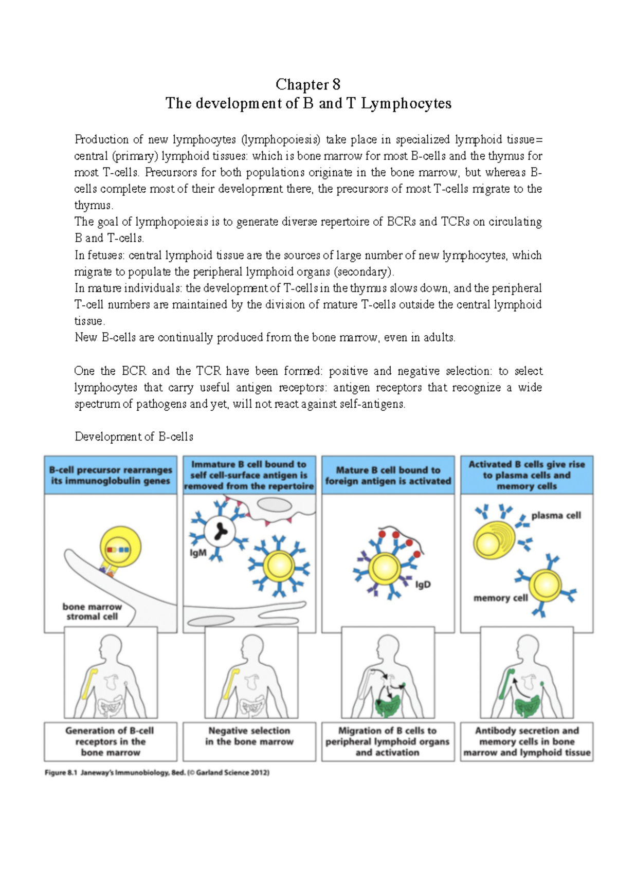 Chapter 8 - Janeway's Immunobiology - Chapter 8 The development of B ...