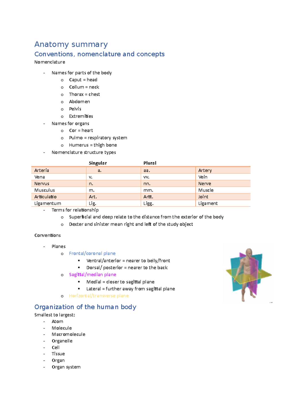 Anatomy summary - Anatomy summary Conventions, nomenclature and ...