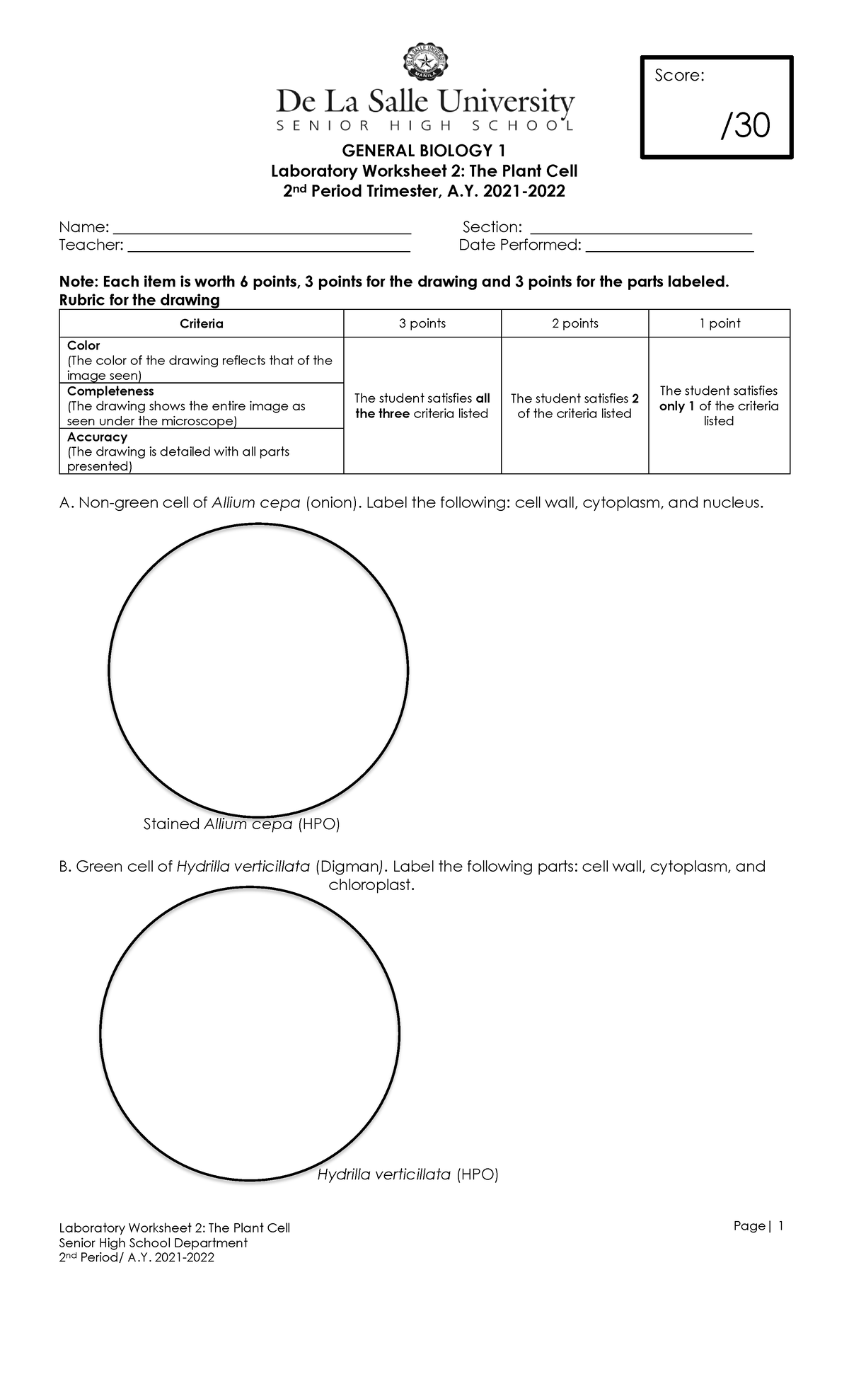 Act 2 The Plant Cell (Answer sheet 1)-1 - GENERAL BIOLOGY 1 Laboratory ...