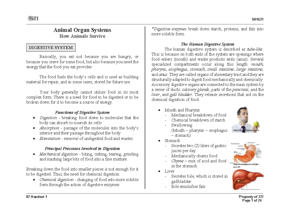 SH1631 - Earth and Life Science 07 Handout 1 - 07 Handout 1 *Property ...