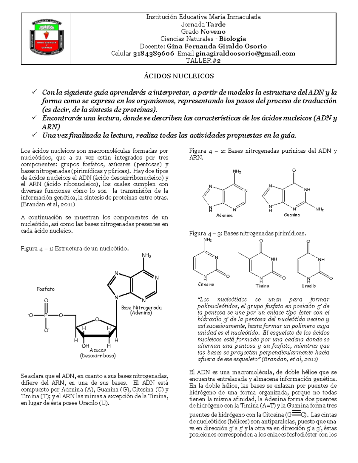 Ã cidos Nucleicos 9Â° - ¡CIDOS NUCLEICOS Con la siguiente guÌa aprender·s a interpretar, a - Studocu